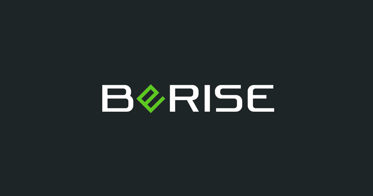 株式会社ビーライズ｜BeRISE Inc.